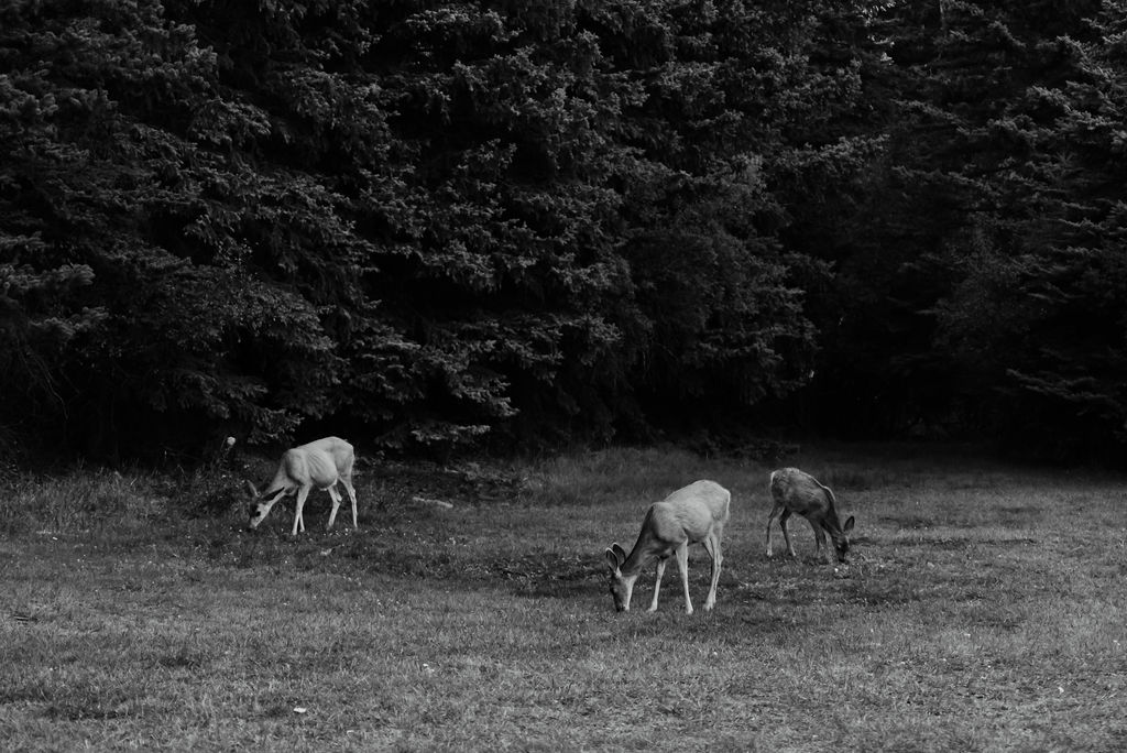 Mountain View Ranch Wedding | Pine, CO | Cara Eliz Photo